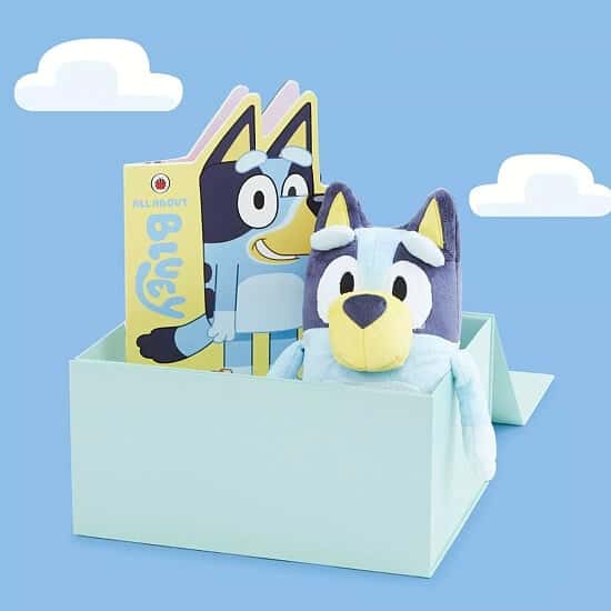 WIN this Personalised Bluey Bedtime Story Gift Set | Snizl Ltd Free ...