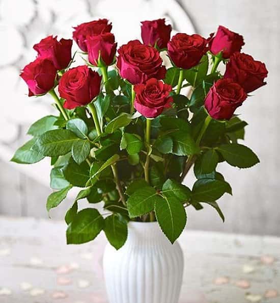 Get Valentines Day Ready - Upper Class Waitrose Foundation Roses, £25 ...